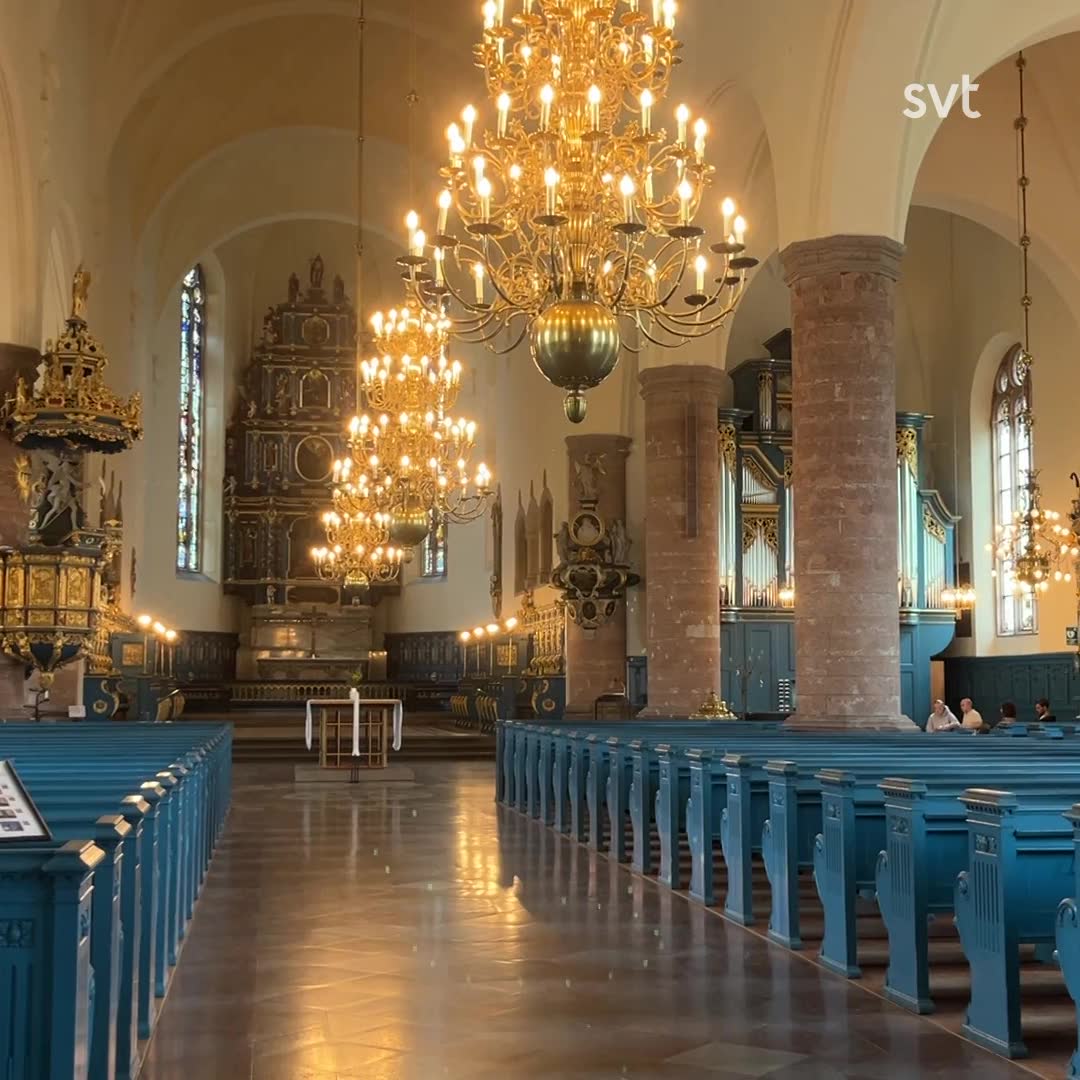 Katja och Juni identifierar sig som therians – följ med dem i skogen ...